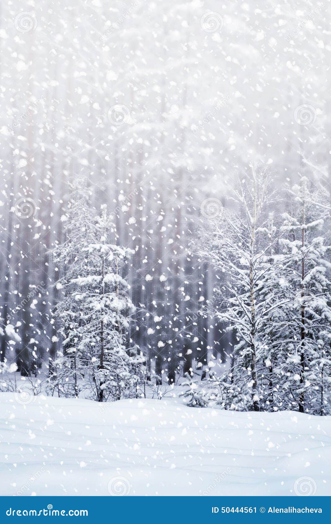 Winter. Snowfall stock image. Image of nature, natural - 50444561