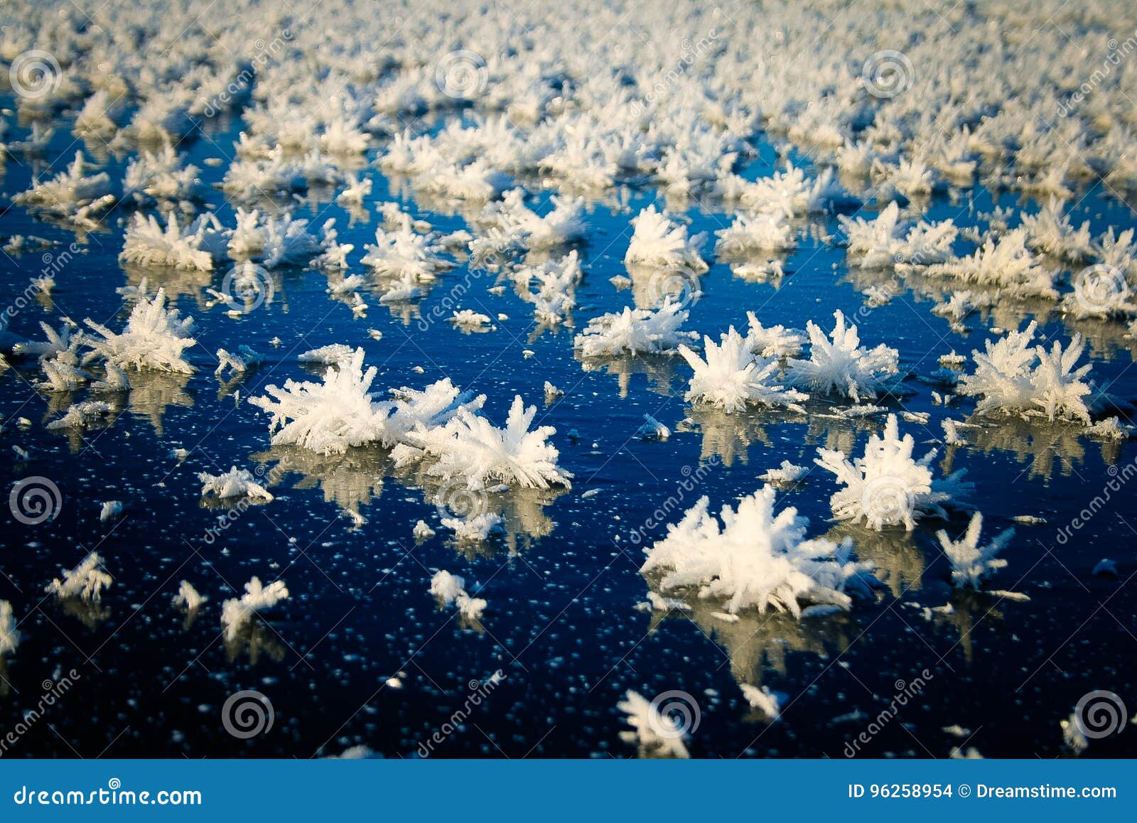 Winter Snowflakes on the Lake Stock Photo - Image of winter, trip: 96258954