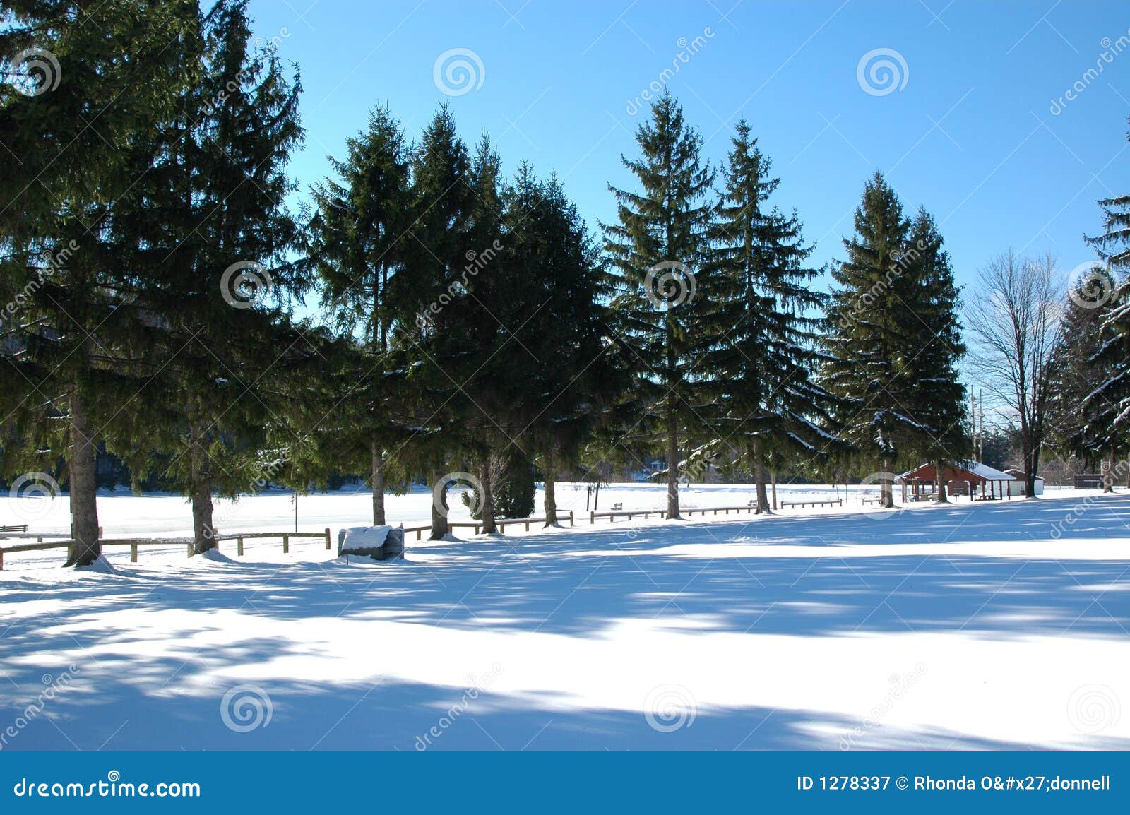 Winter snowscape stock image. Image of froze, cold, weather - 1278337