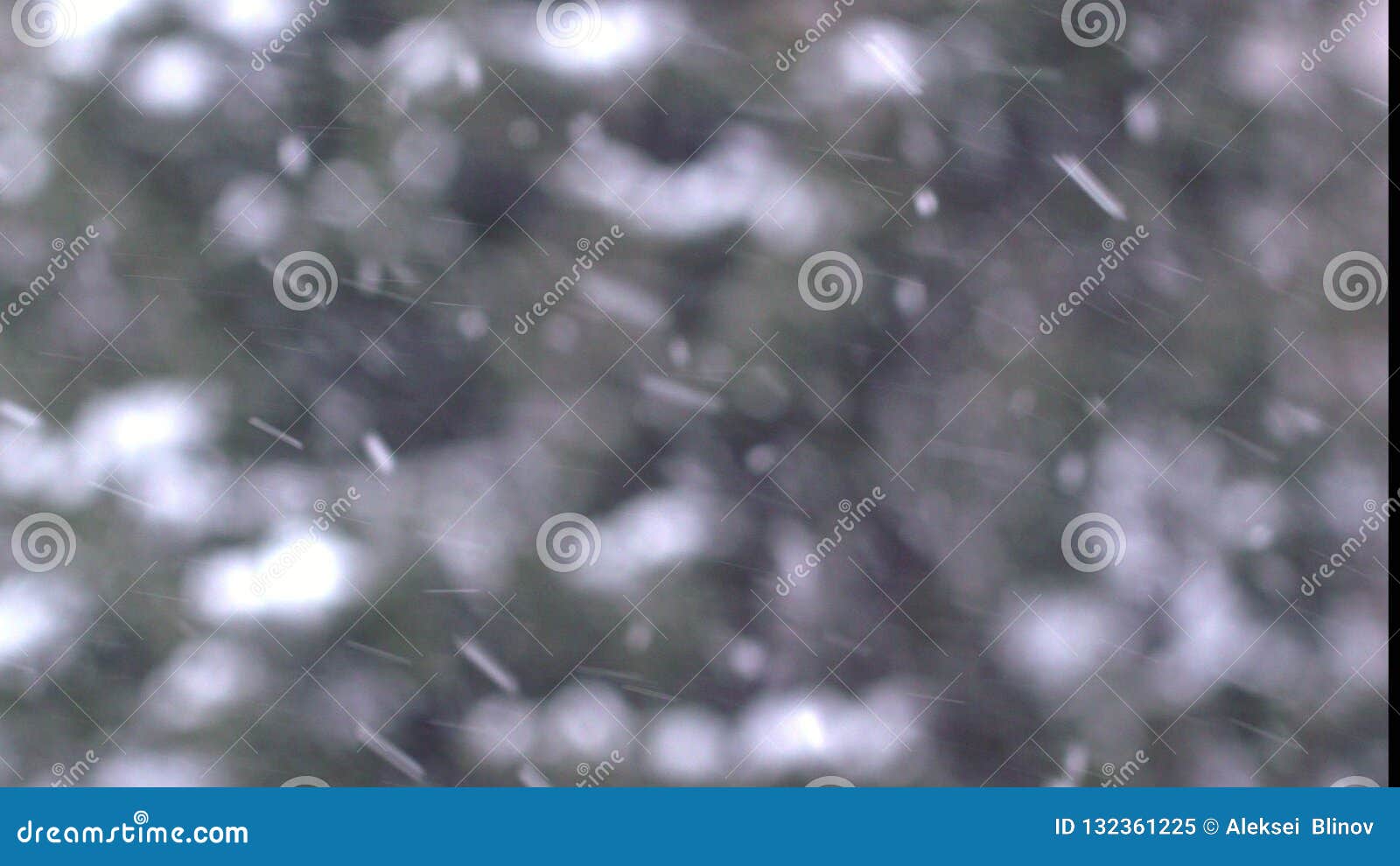 Winter Snowstorm with Blurry Forest Background. Stock Video - Video of ...