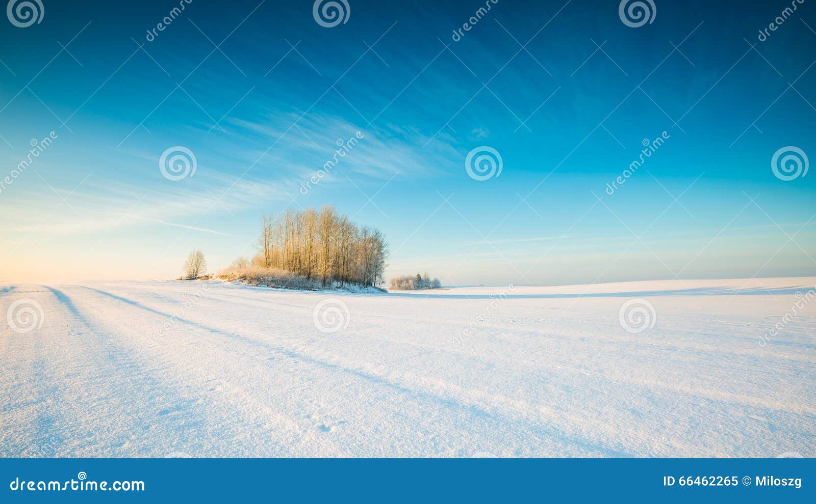 Winter Snowy Field Landscape Stock Image - Image of landscape, field ...