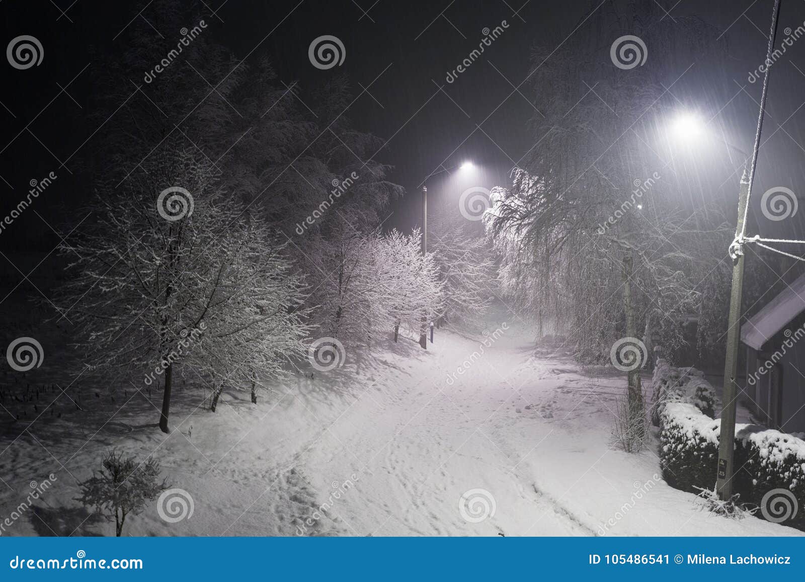 Winter snowy night stock image. Image of landscape, nature - 105486541