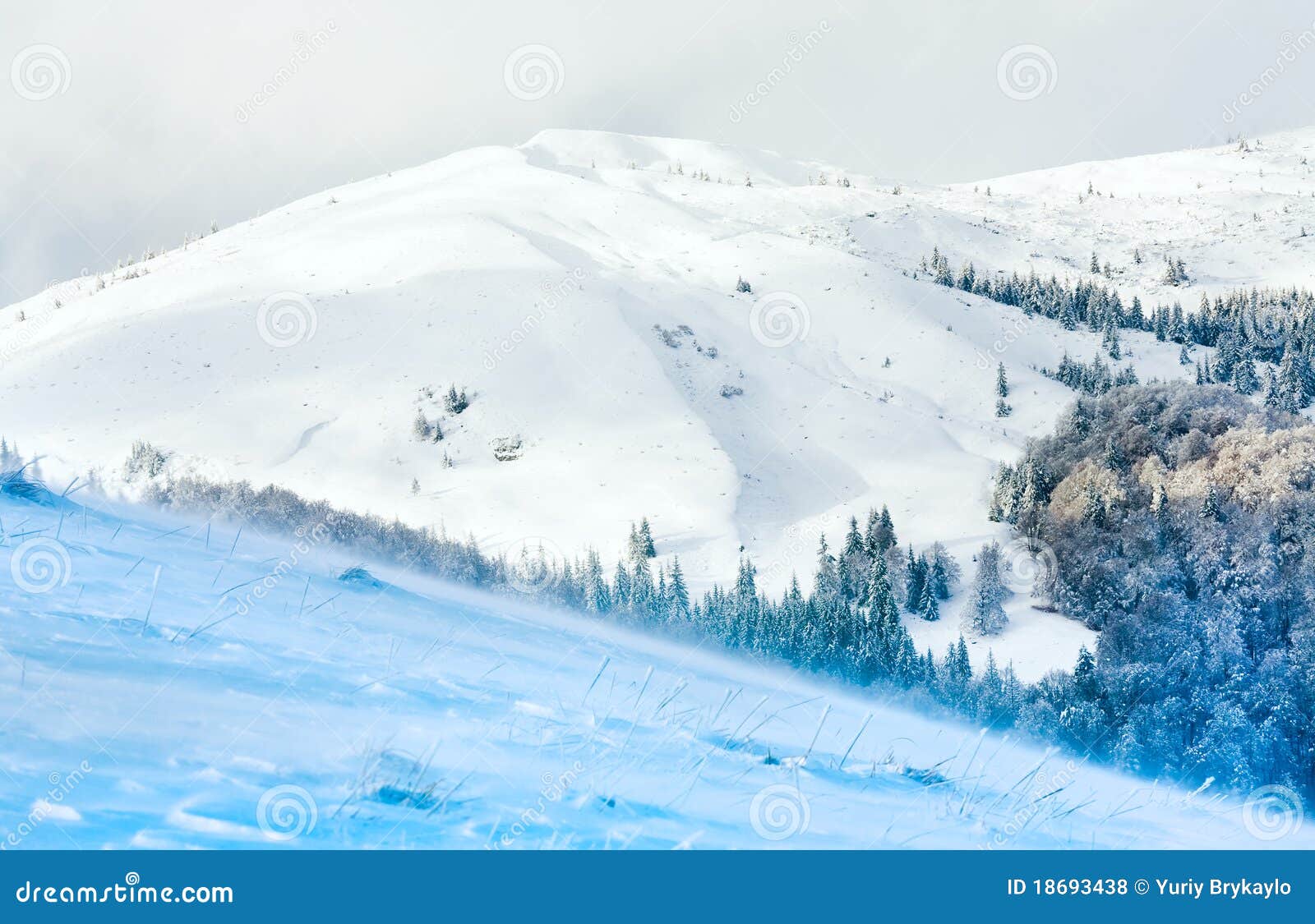 Winter Snowy and Windy Mountain View Stock Photo - Image of park, cloud ...