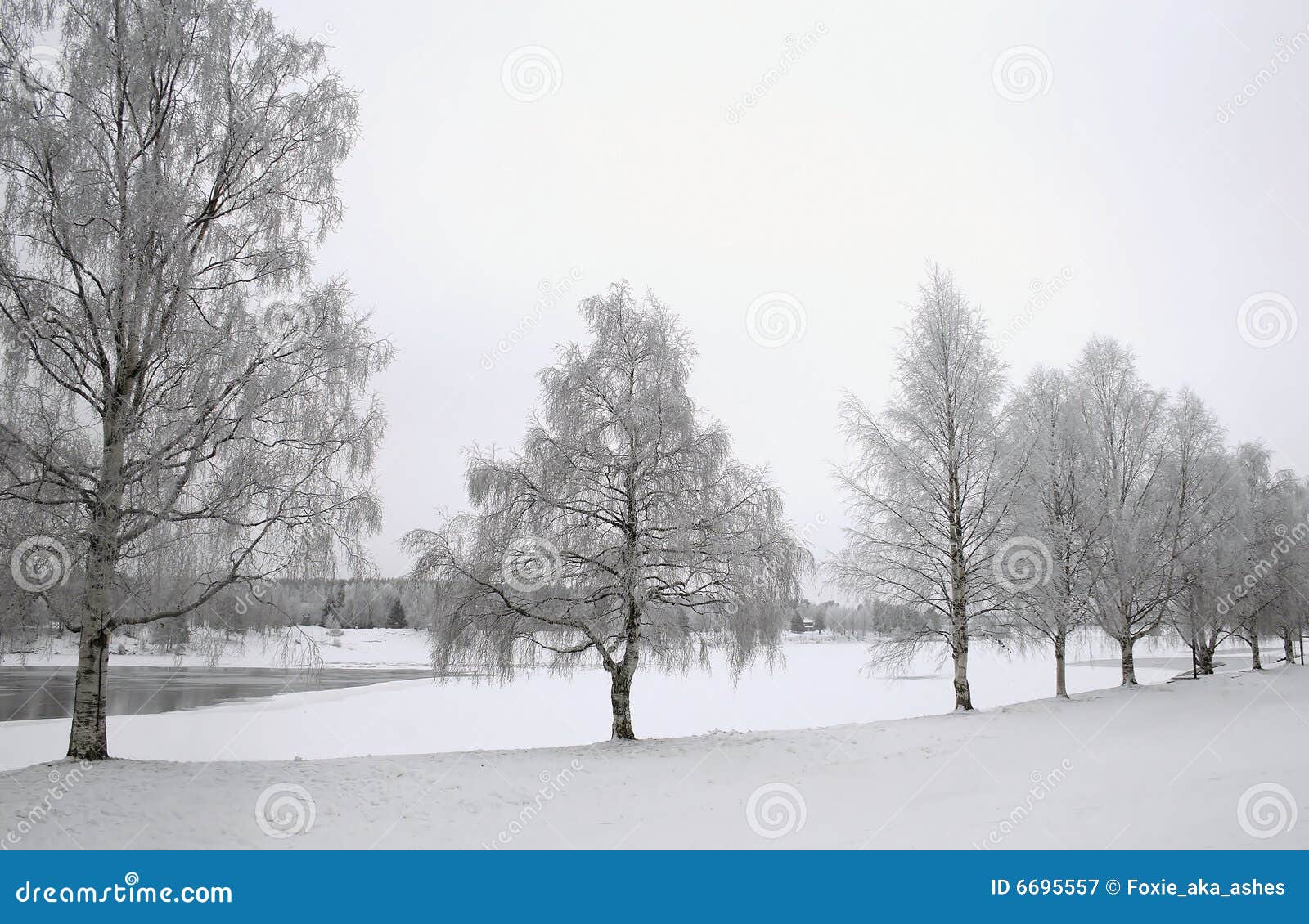 Winter solitude stock image. Image of december, covering - 6695557