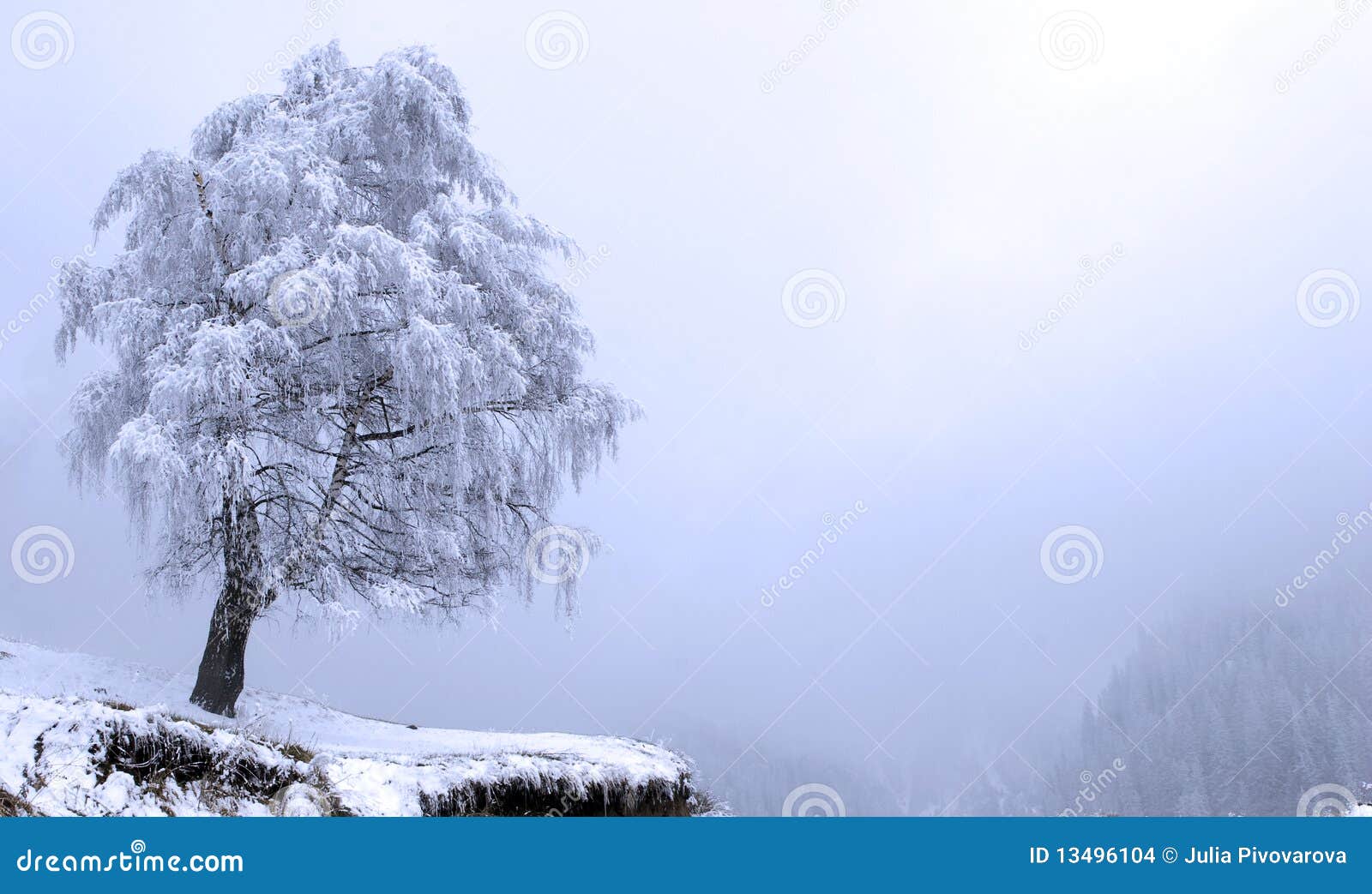 Winter Solitude tree stock photo. Image of distant, clear - 13496104