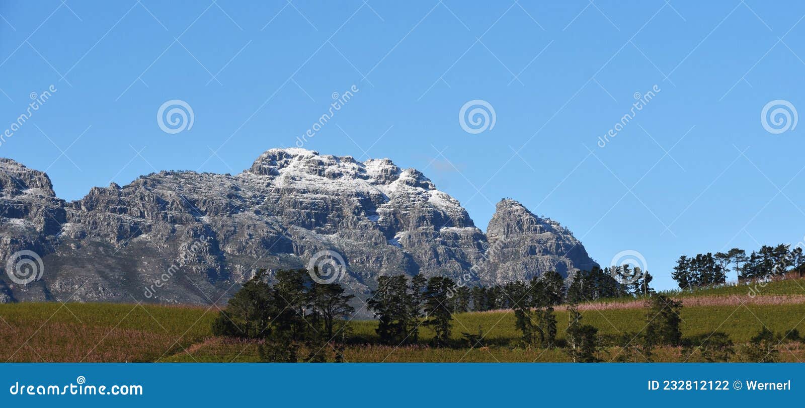 Winter in South Africa stock photo. Image of africa - 232812122