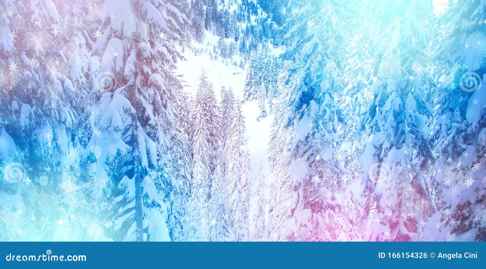 Winter Sparkle Background with Pine Trees and Snow Stock Photo - Image ...