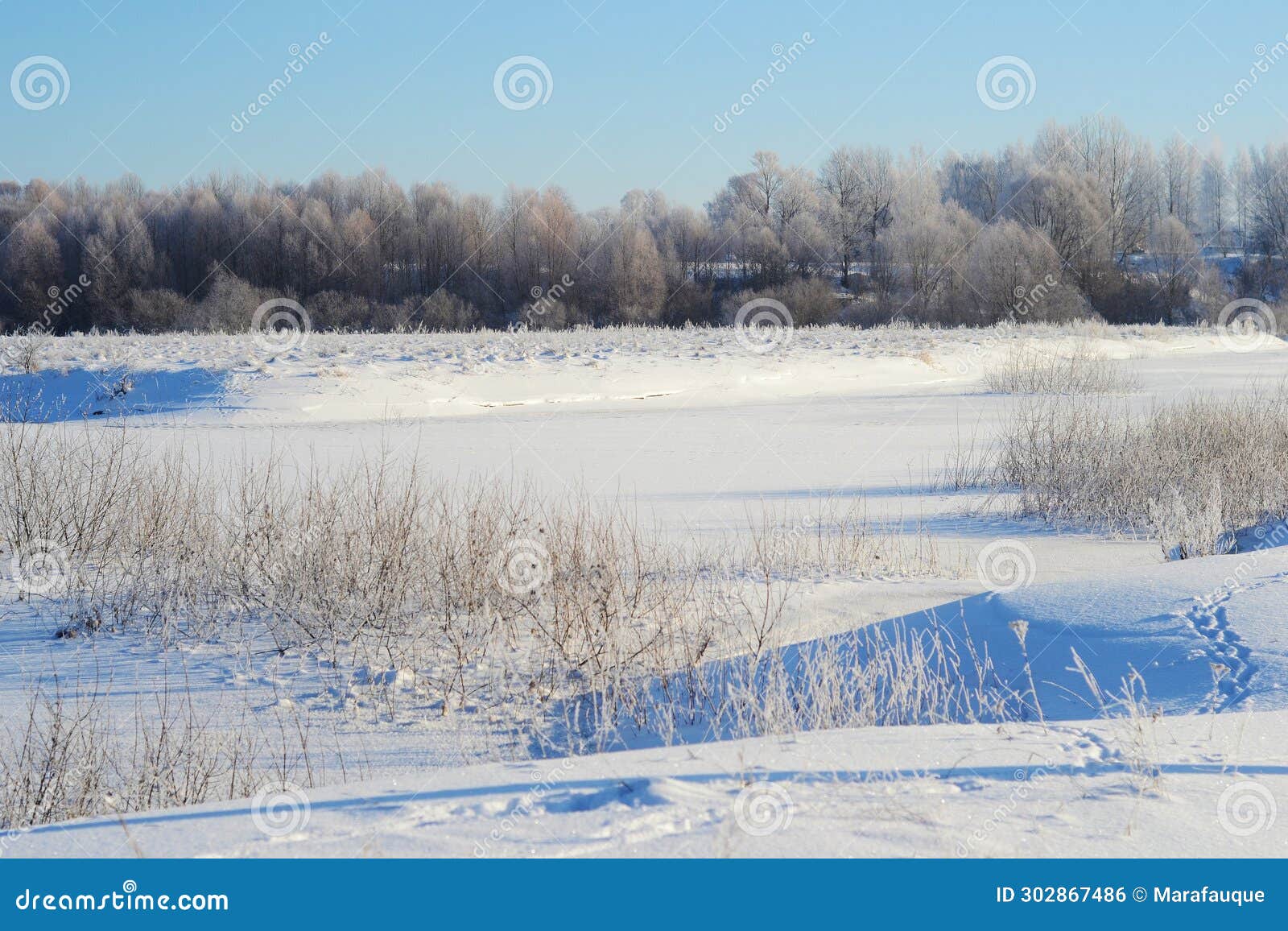 Winter Specific. Snowy Fields. Winter Wonderland. Stock Photo - Image ...