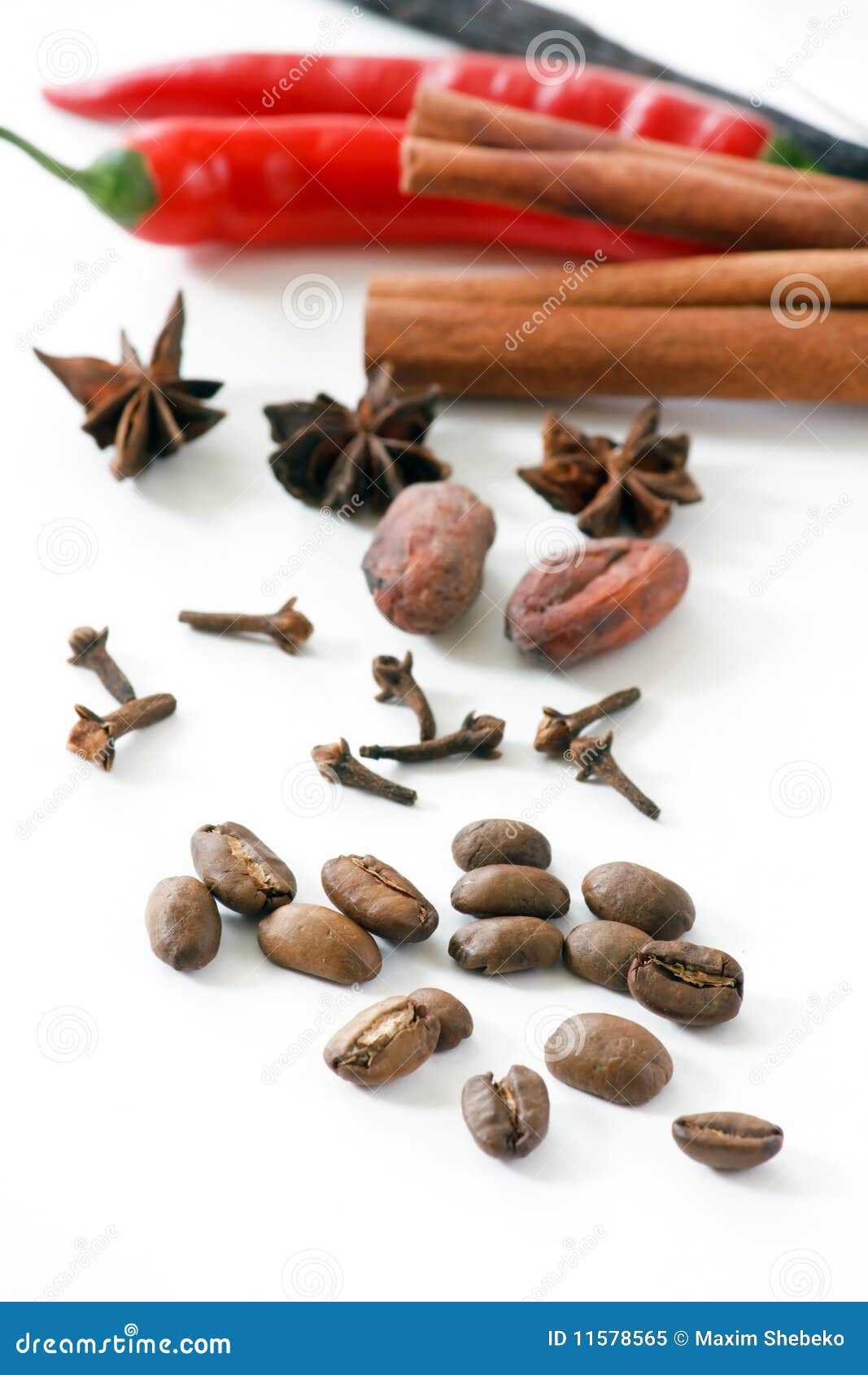 Winter spice stock image. Image of christmas, cocoa, anise - 11578565