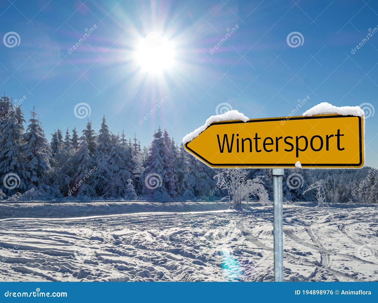 Winter Sport Sign Arrow in German Stock Photo - Image of mountain ...