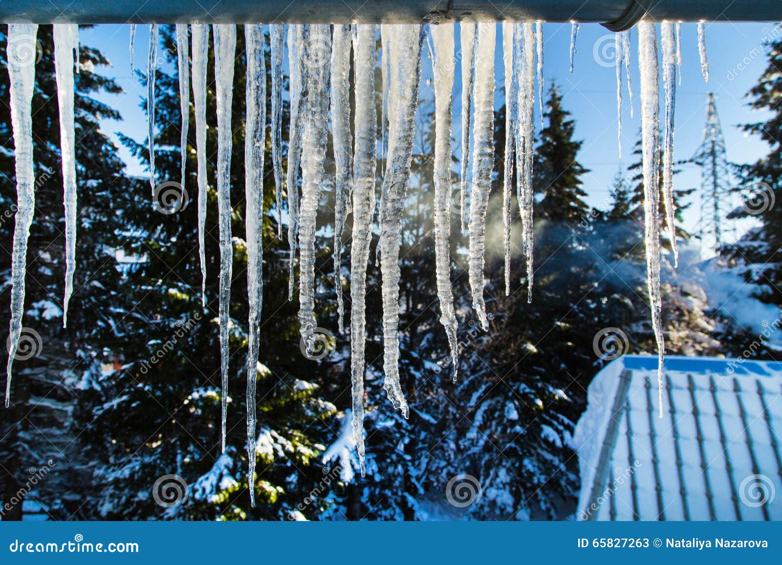 Winter or Spring Background with Bright Transparent Icicles in the ...