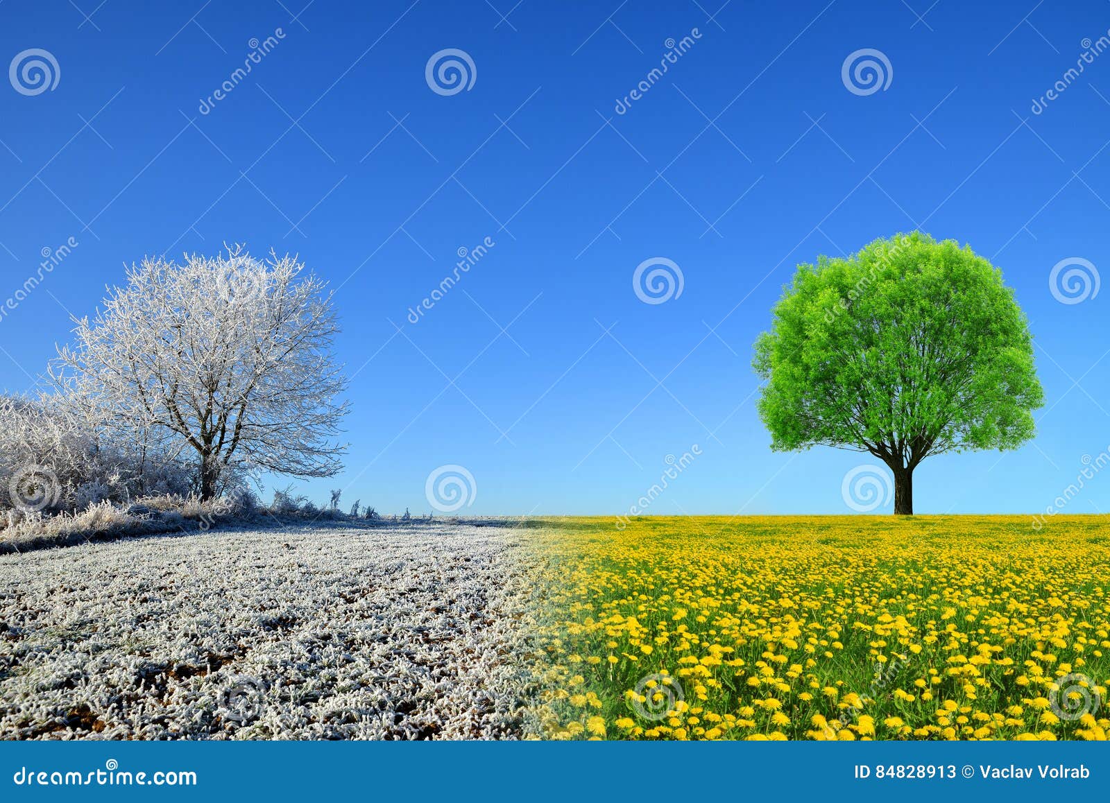 Winter and Spring Landscape with Blue Sky. Stock Image - Image of cool ...