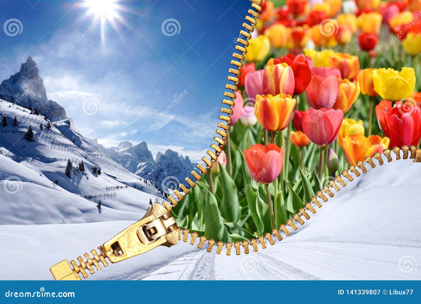 Winter Spring Transition Stock Illustrations – 28 Winter Spring ... Winter Spring Transition Stock Illustrations – 28 Winter Spring ...