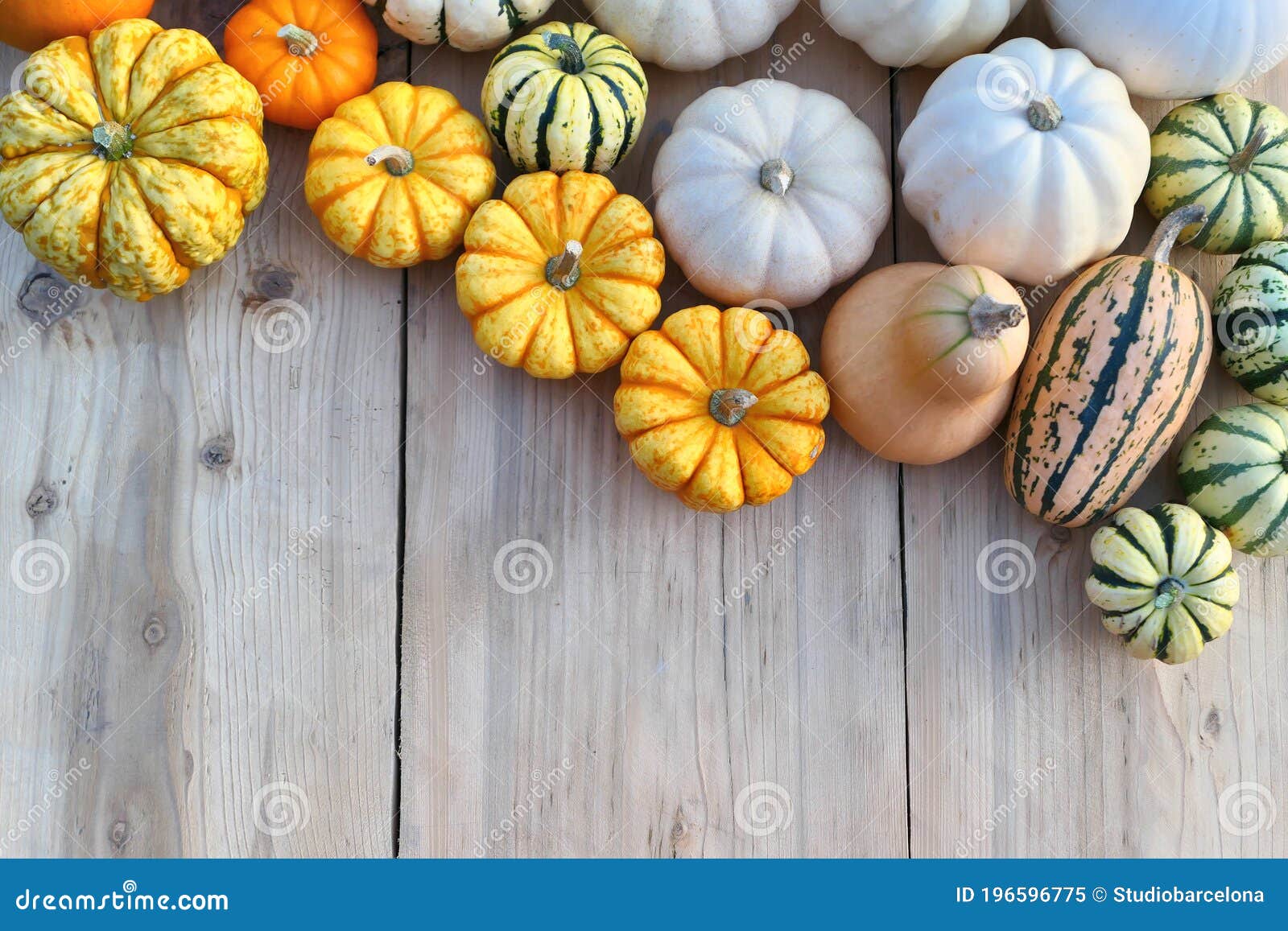 Winter Squashes and Pumpkins Border Stock Image - Image of orange ...