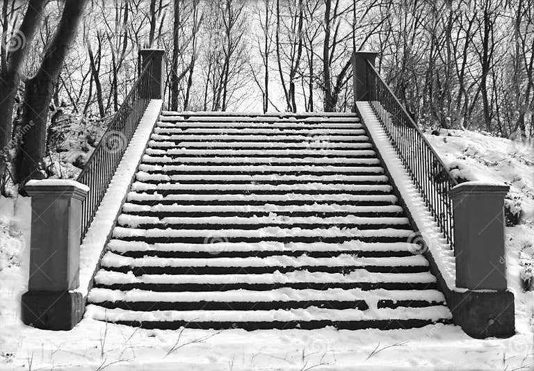 Winter stairway stock image. Image of nature, descend, freeze - 549507