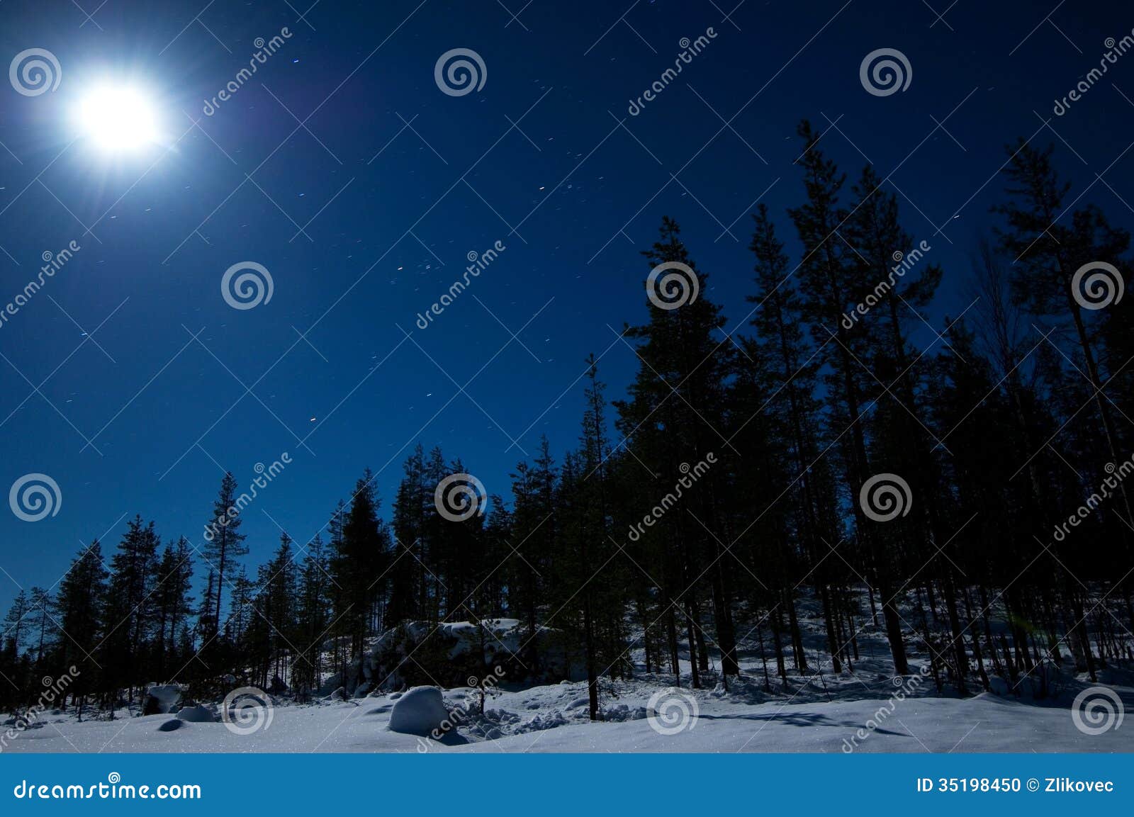 Winter starry night stock photo. Image of moon, frost - 35198450