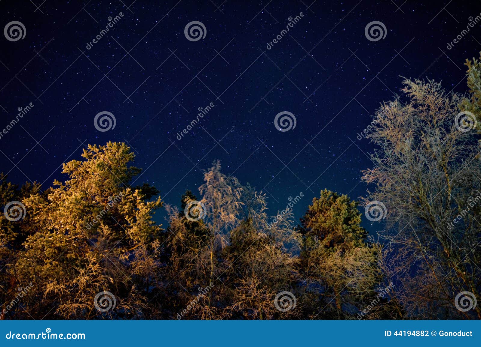 Winter starry nightscape stock photo. Image of frosty - 44194882