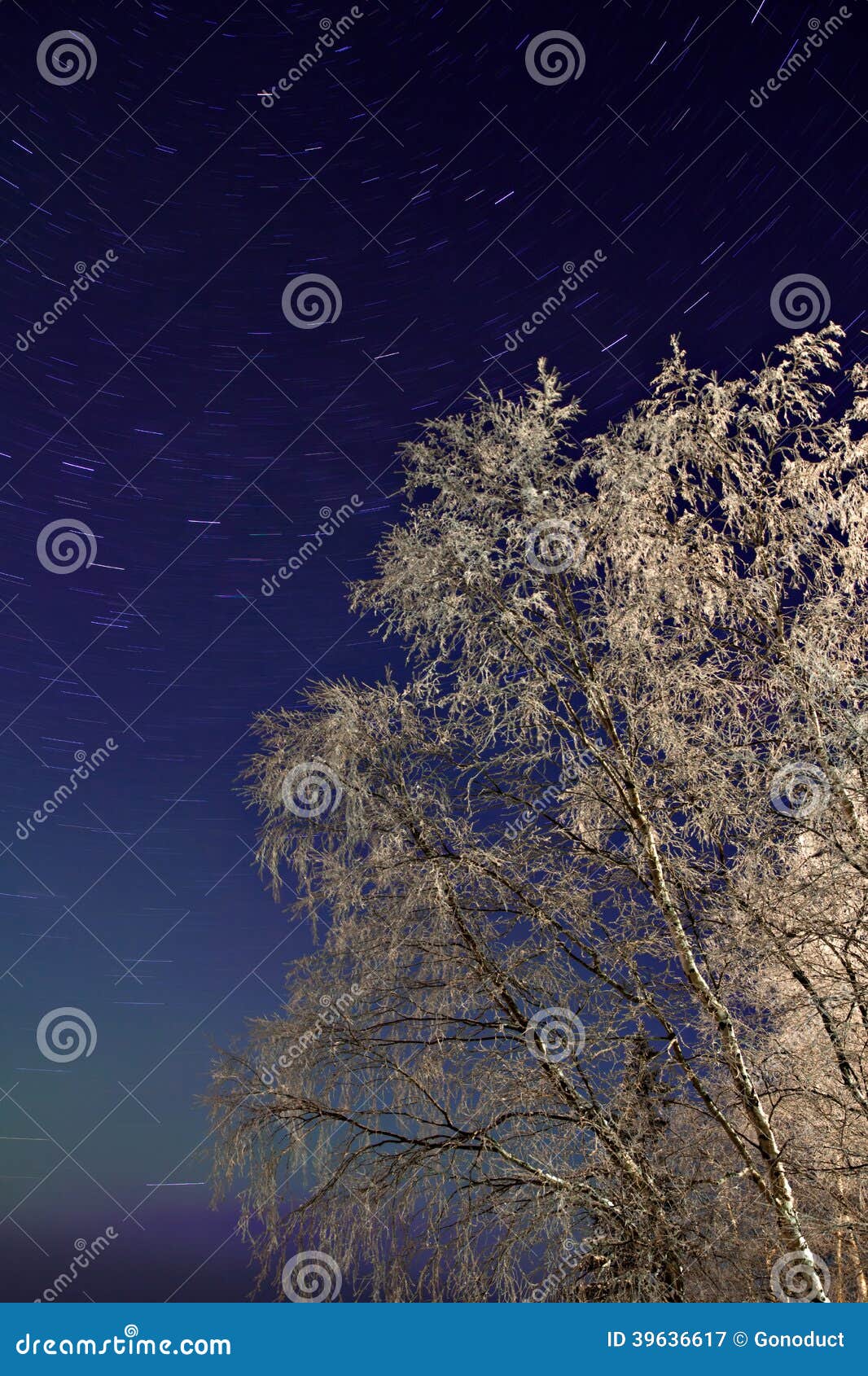 Winter starry nightscape stock image. Image of nature - 39636617