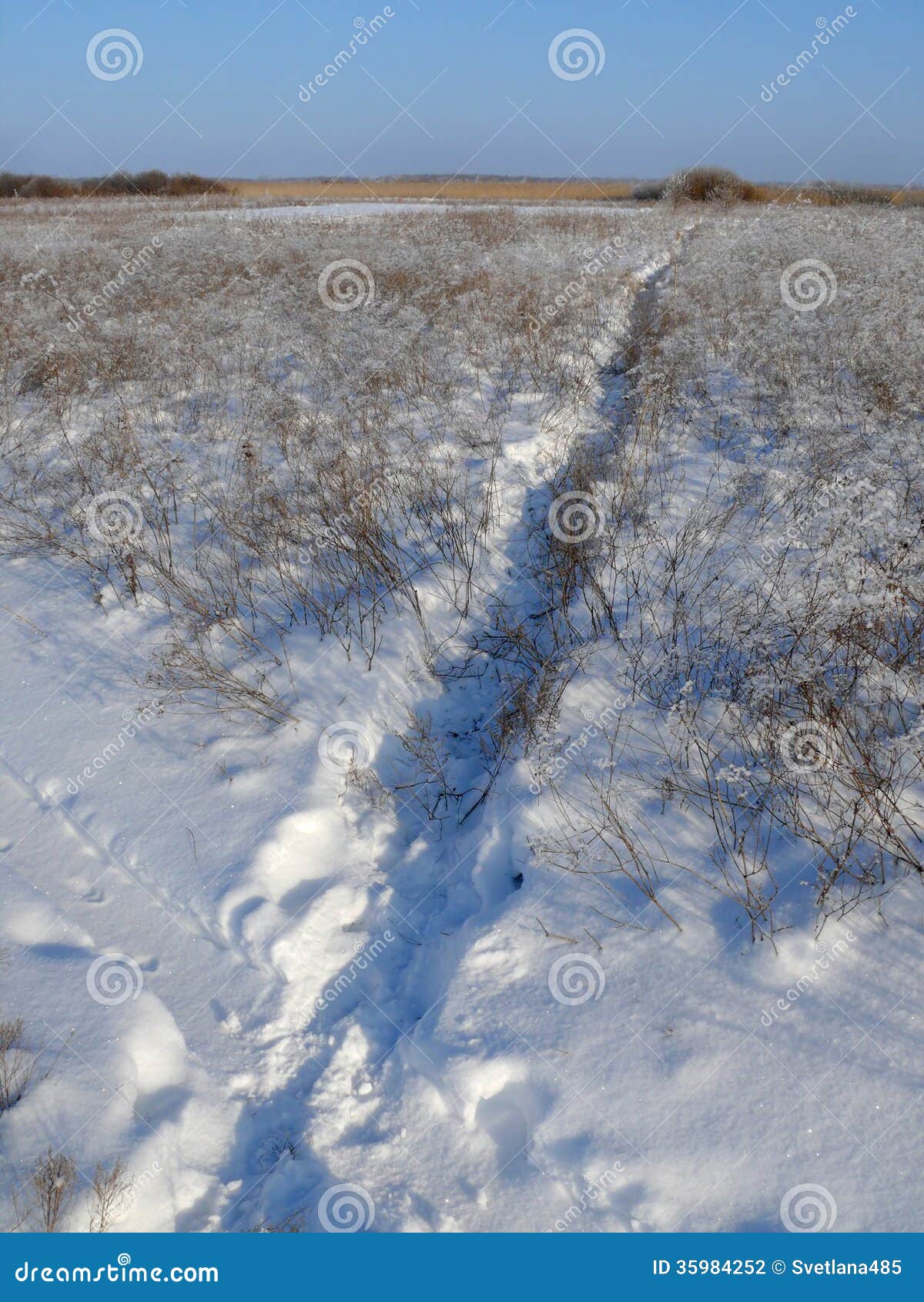 Winter steppe. stock photo. Image of winter, landscape - 35984252