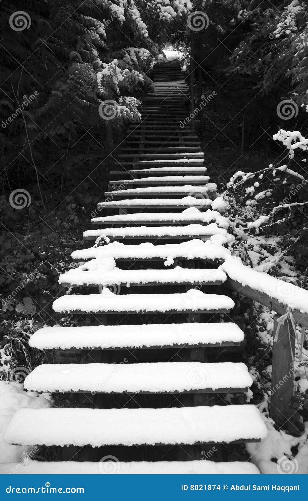 Winter steps stock photo. Image of path, stairs, steps - 8021874
