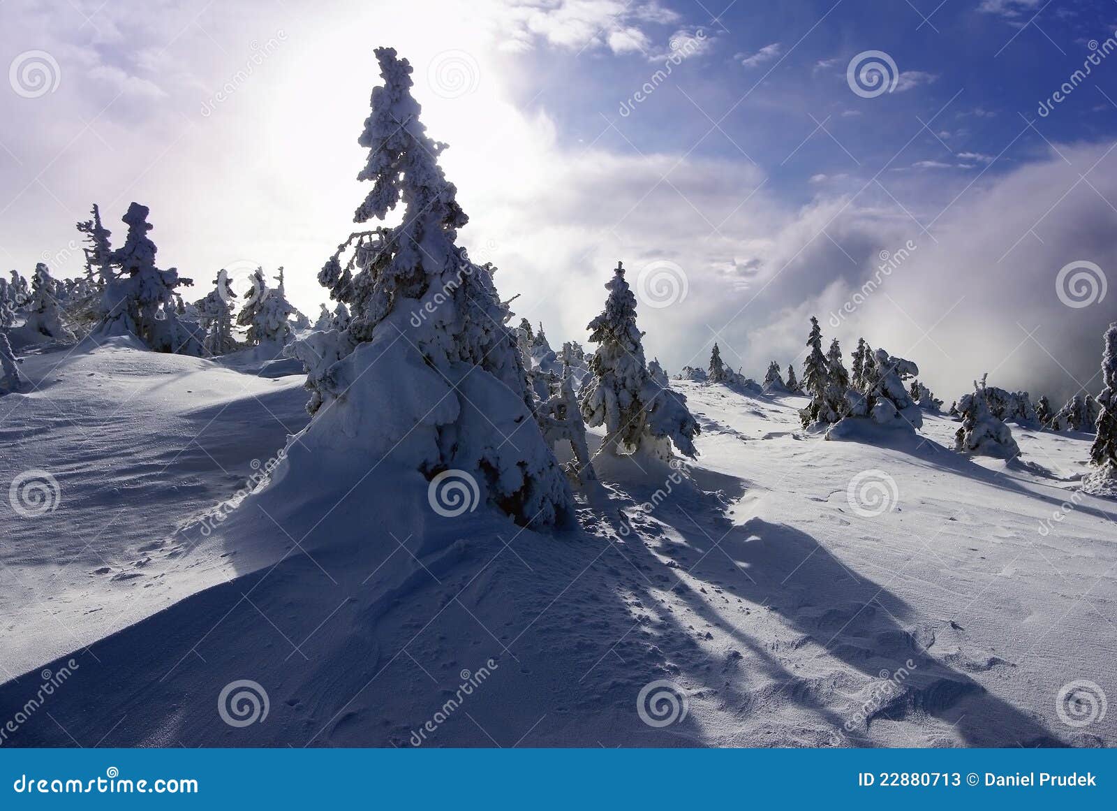 Winter still-life stock image. Image of january, hill - 22880713