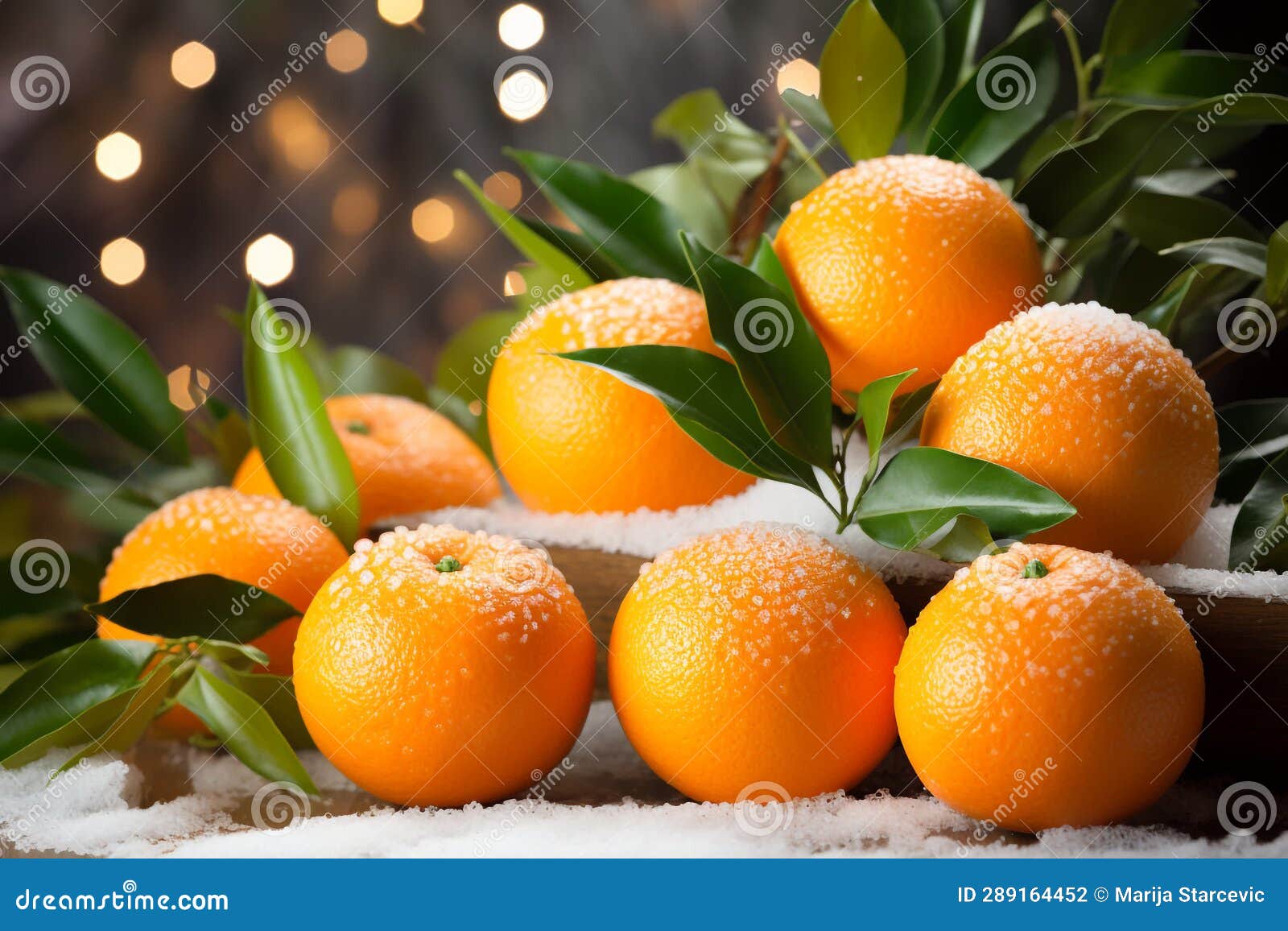 Winter still life. Oranges stock illustration. Illustration of beauty ...