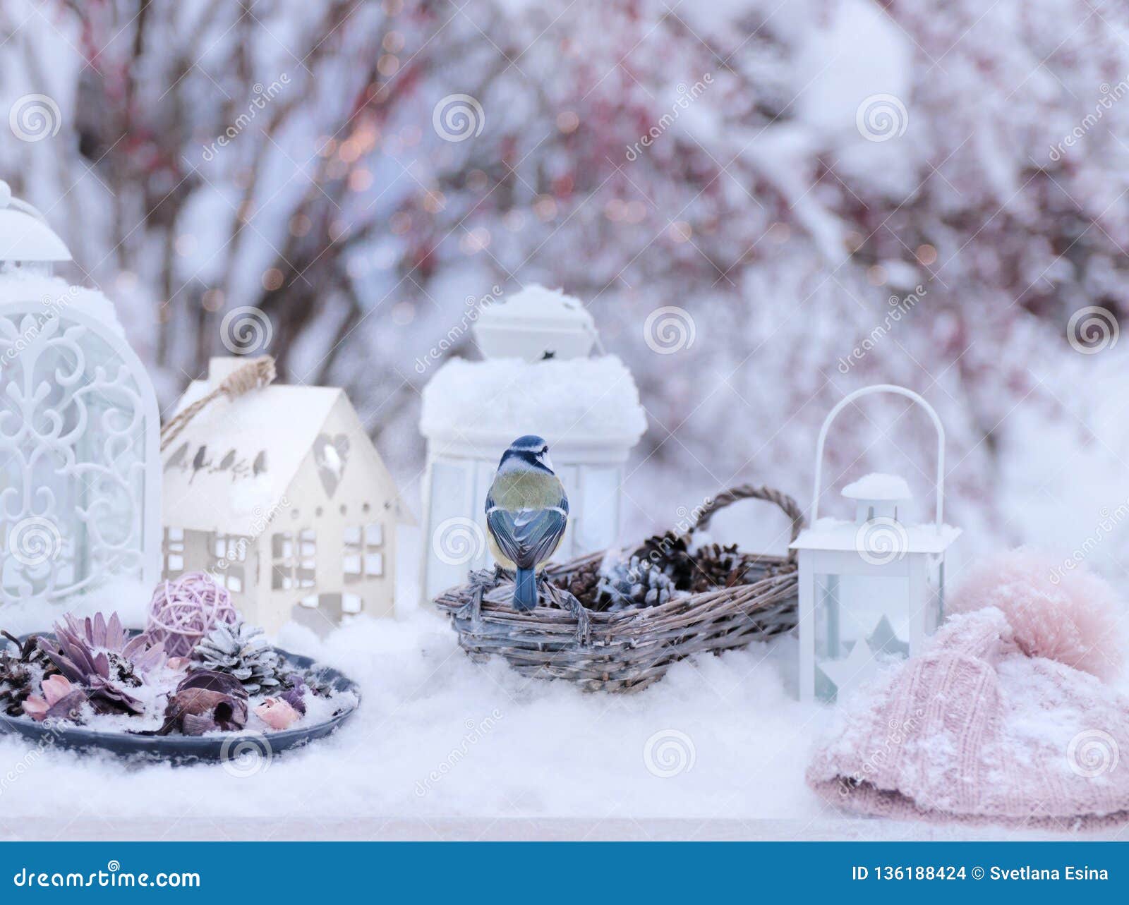 Winter Still Life with Small Bird Stock Photo - Image of garden, white ...
