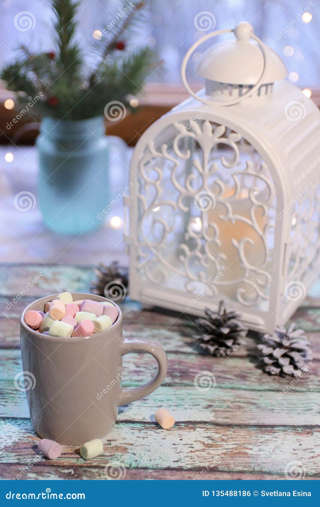 Winter still life stock photo. Image of indoor, winter - 135488186