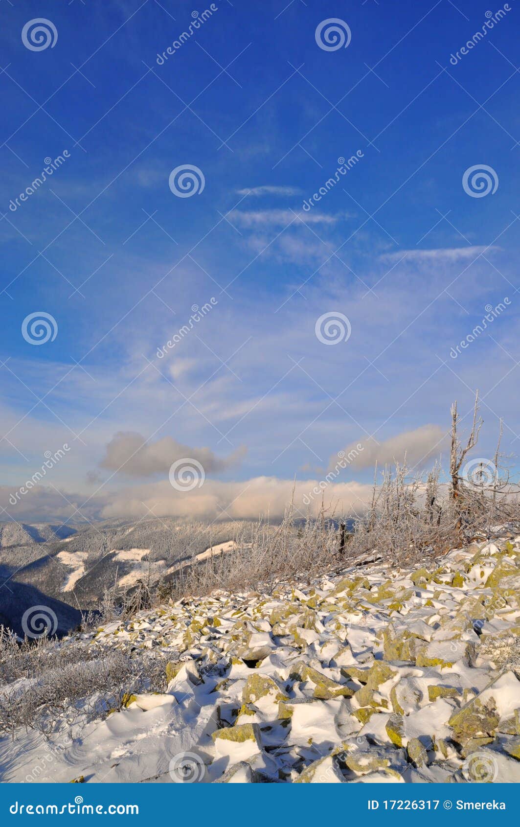 Winter stone hillside. stock image. Image of tree, nature - 17226317