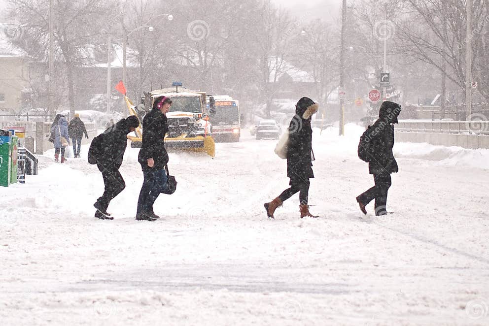 Winter storm hits Toronto editorial photography. Image of pedestrian ...