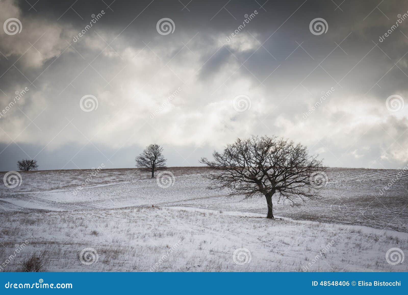 Winter storm stock photo. Image of clouds, hills, ambient - 48548406