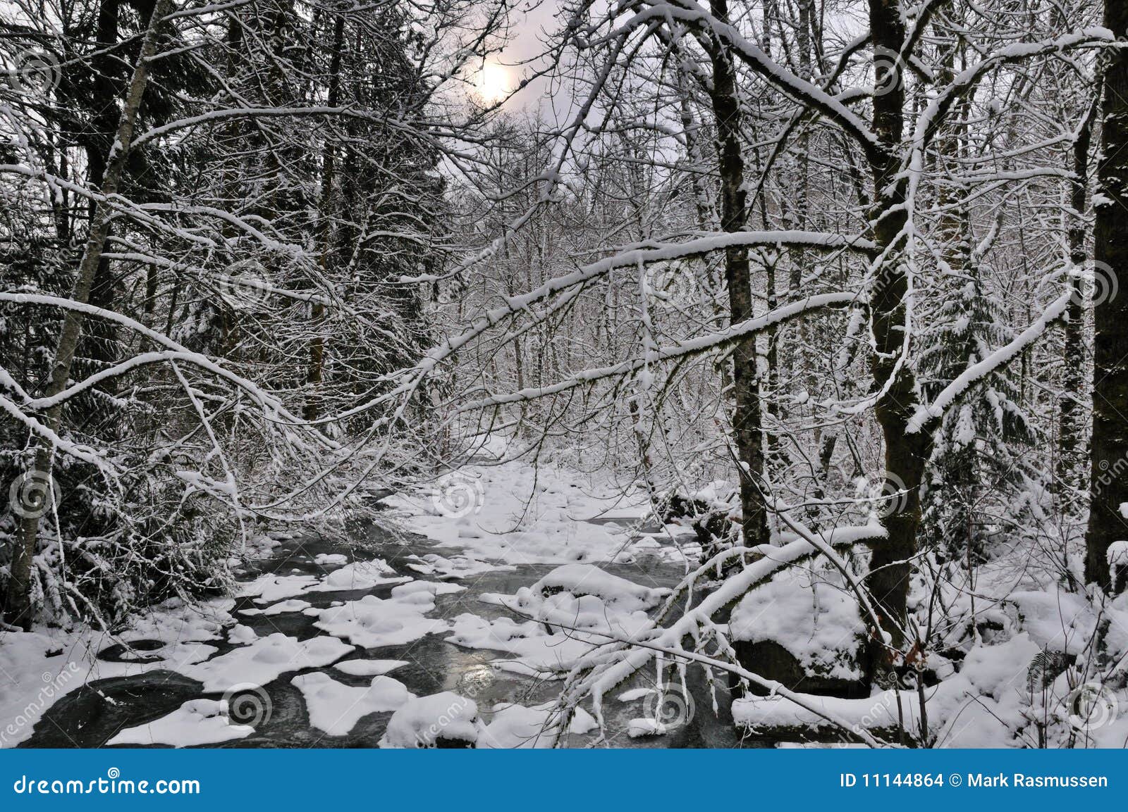 Winter stream stock photo. Image of christmas, water - 11144864