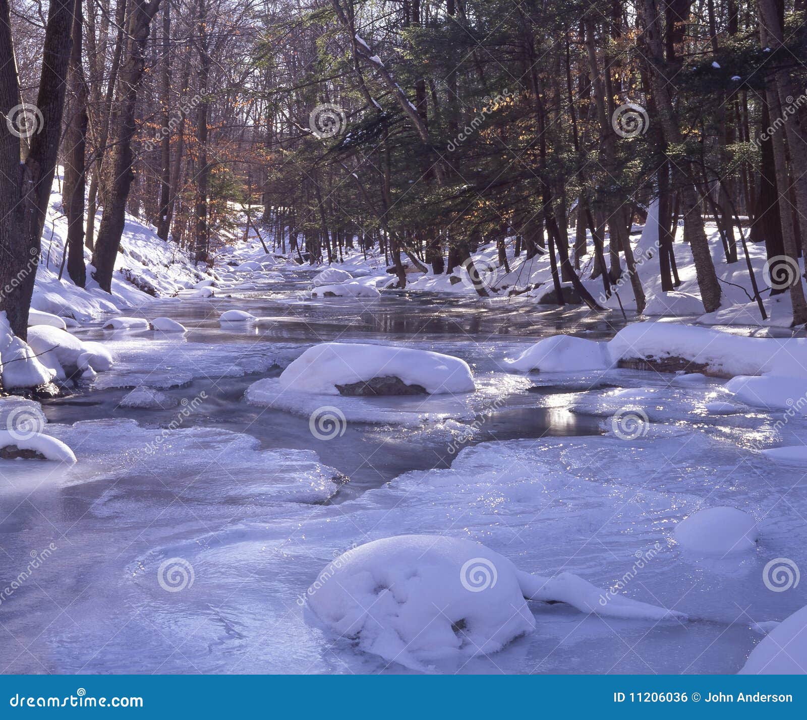 Winter stream stock photo. Image of cold, trees, forest - 11206036