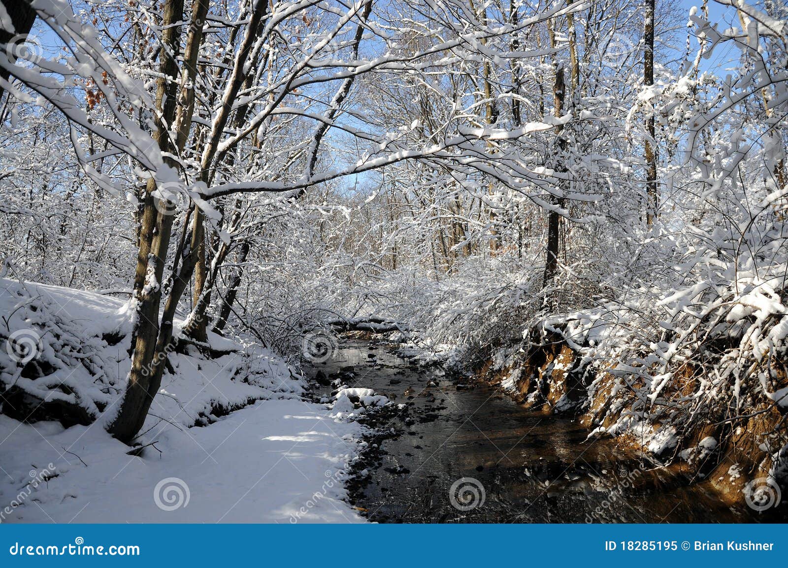 1,130 Stream Lined Stock Photos - Free & Royalty-Free Stock Photos from ...