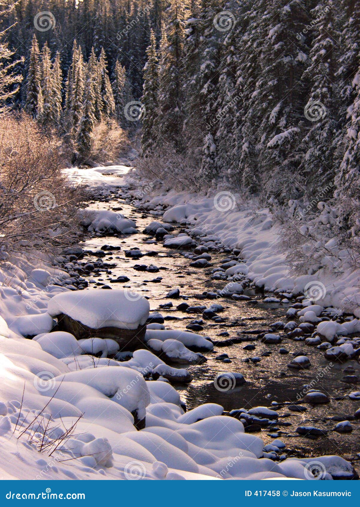 Winter Stream stock photo. Image of water, snowfall, chill - 417458