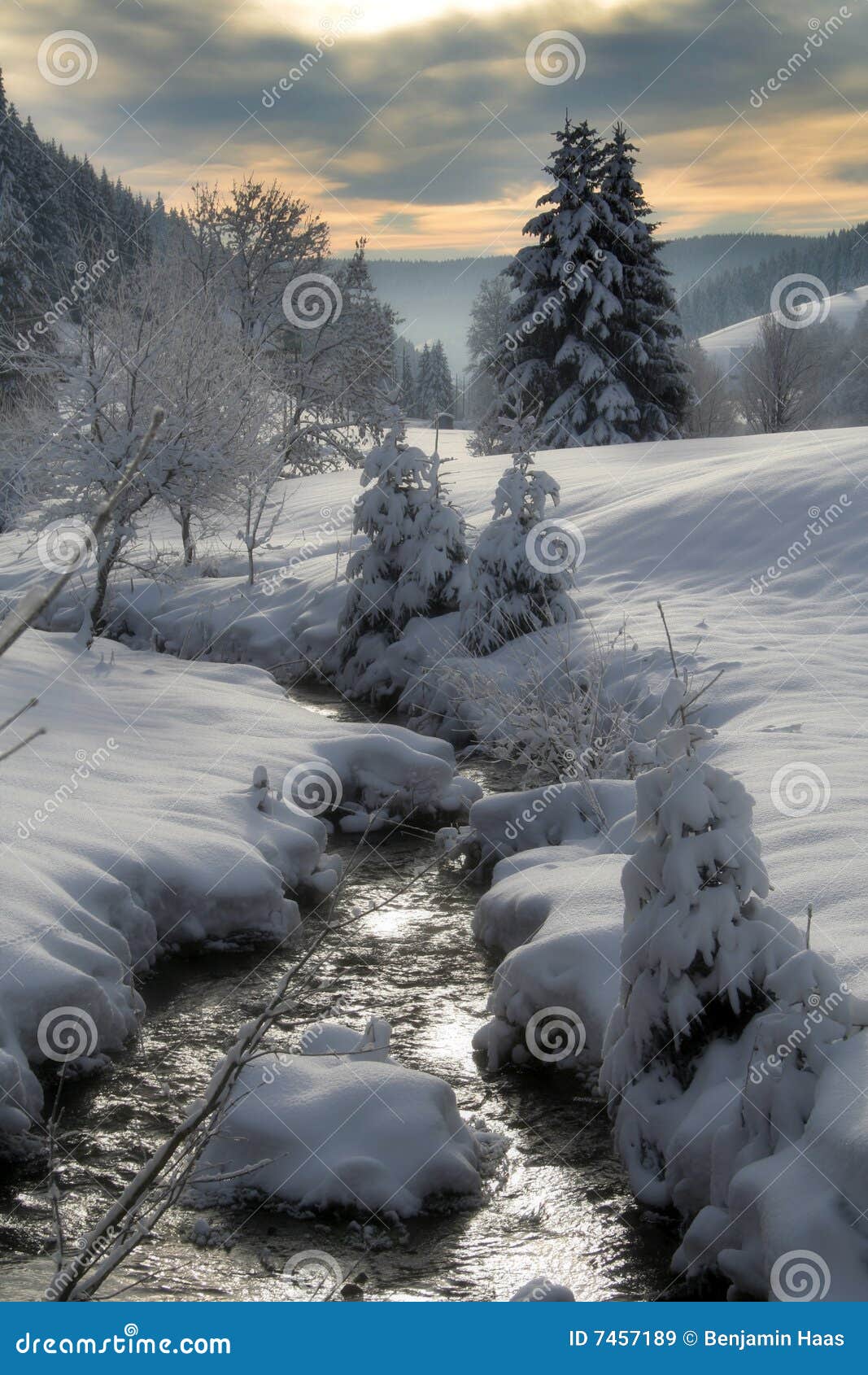 Winter stream stock image. Image of treetop, dream, black - 7457189