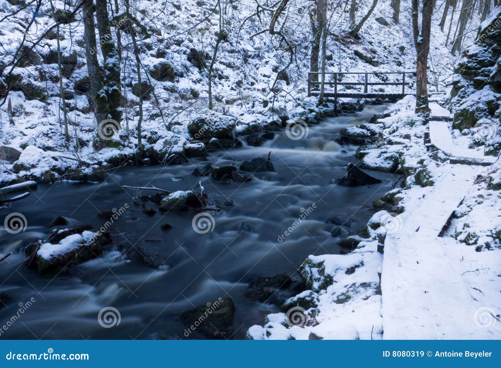 Winter stream stock image. Image of forest, cold, blur - 8080319