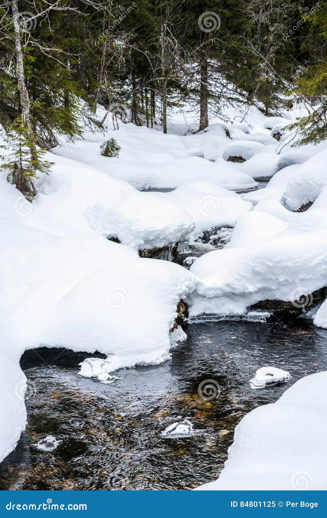 Winter Stream with Deep Snow and Water Flows Underneath. Stock Image ...