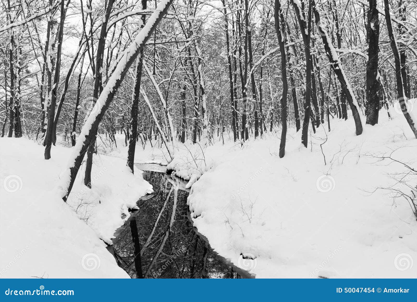 Winter stream stock photo. Image of white, nature, cold - 50047454