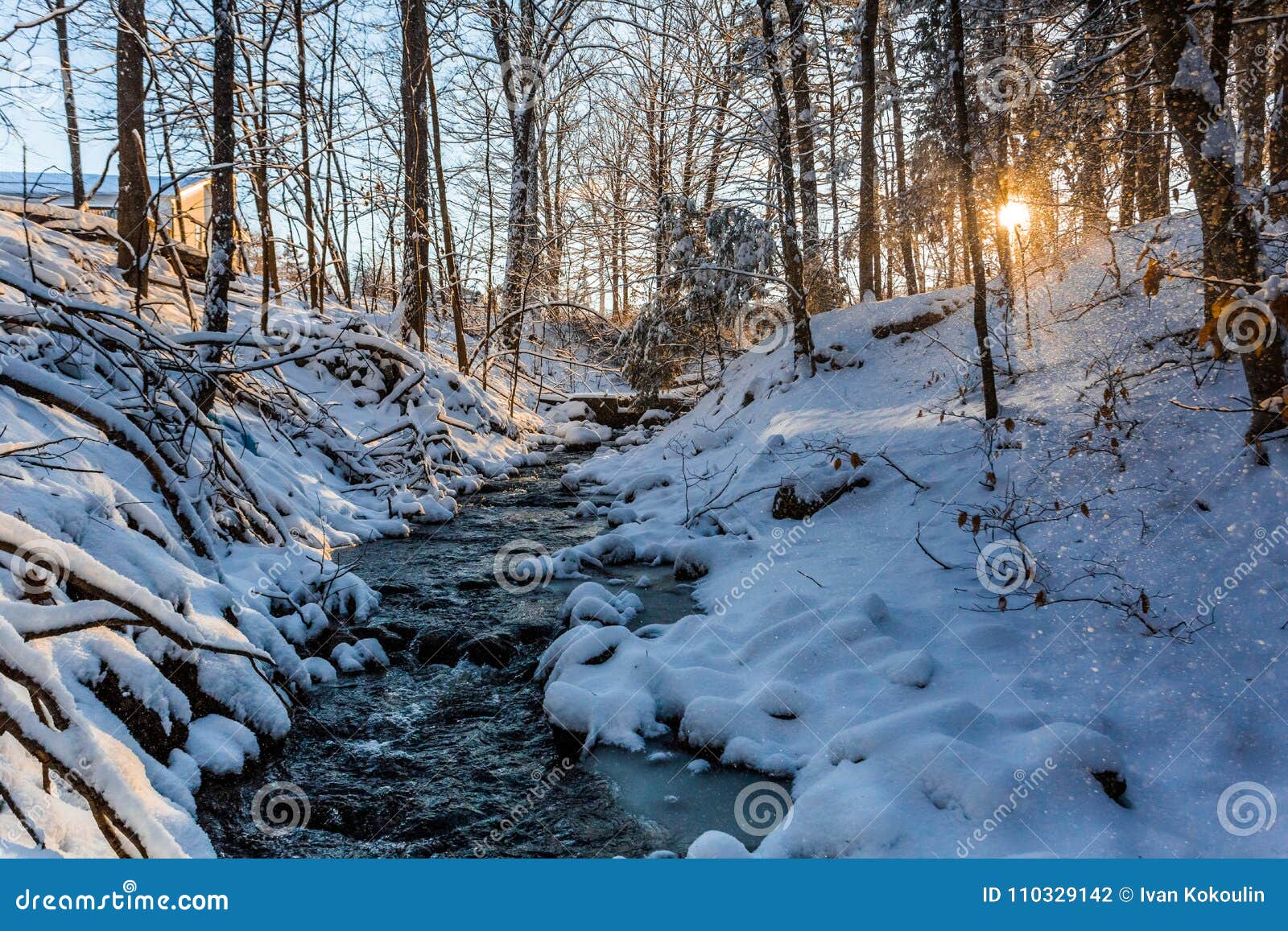 Winter Stream in Forest Morning Sunrise Stock Photo - Image of frozen ...