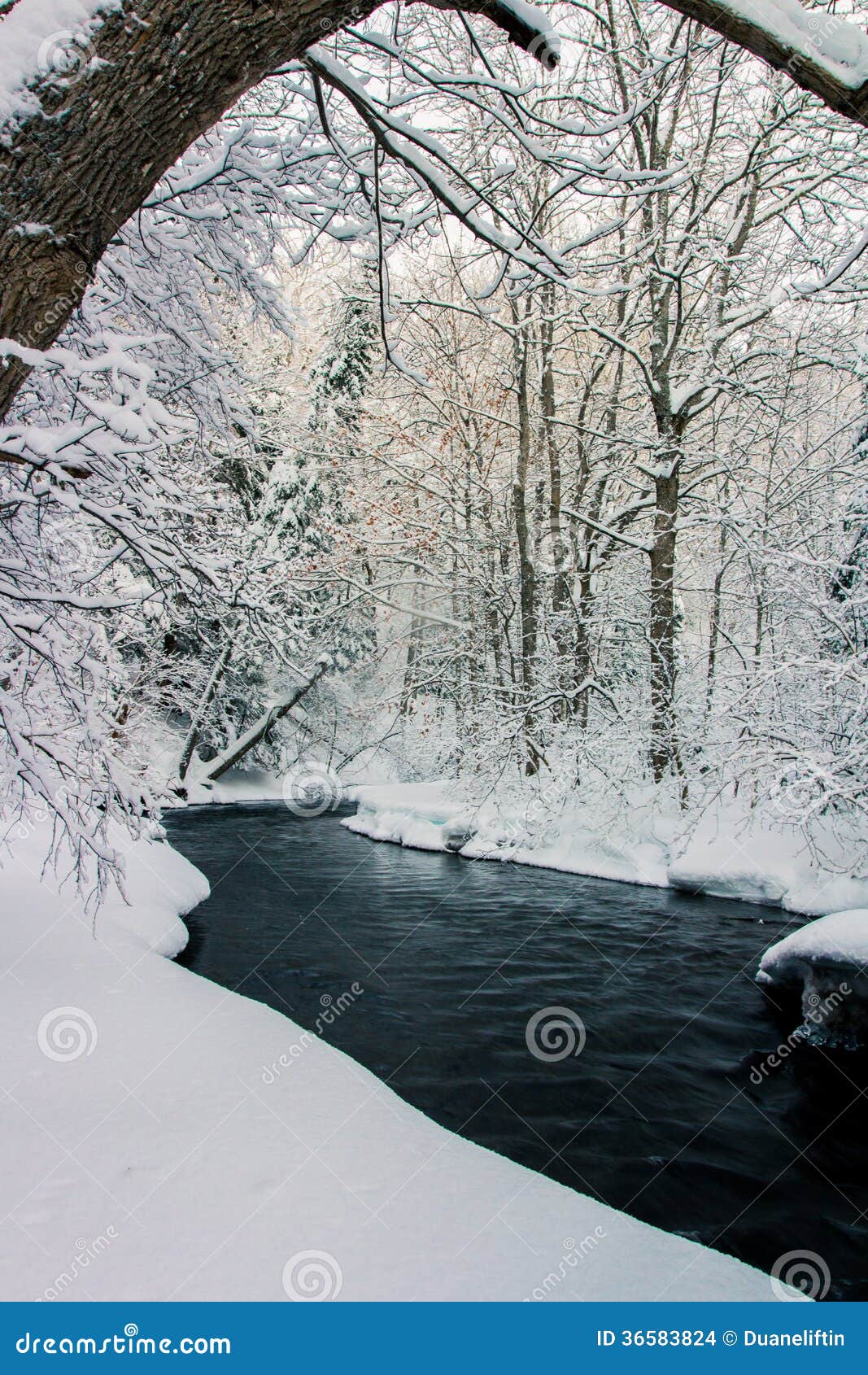 Winter Stream stock photo. Image of field, sunset, nature - 36583824