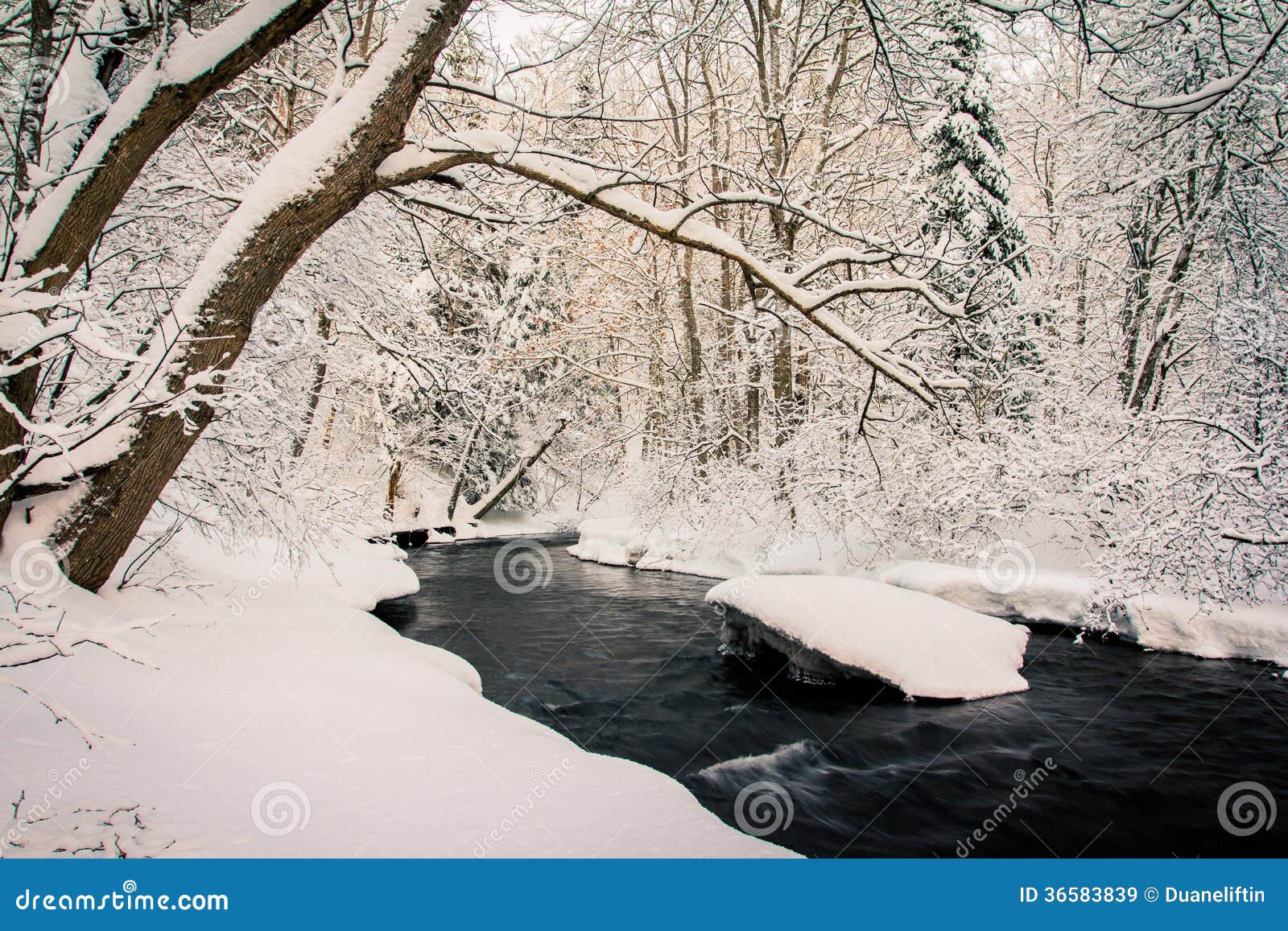Winter Stream stock image. Image of tree, reflection - 36583839