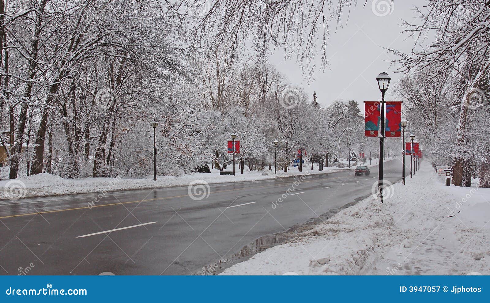 Winter Street stock image. Image of canada, toronto, fluffy - 3947057