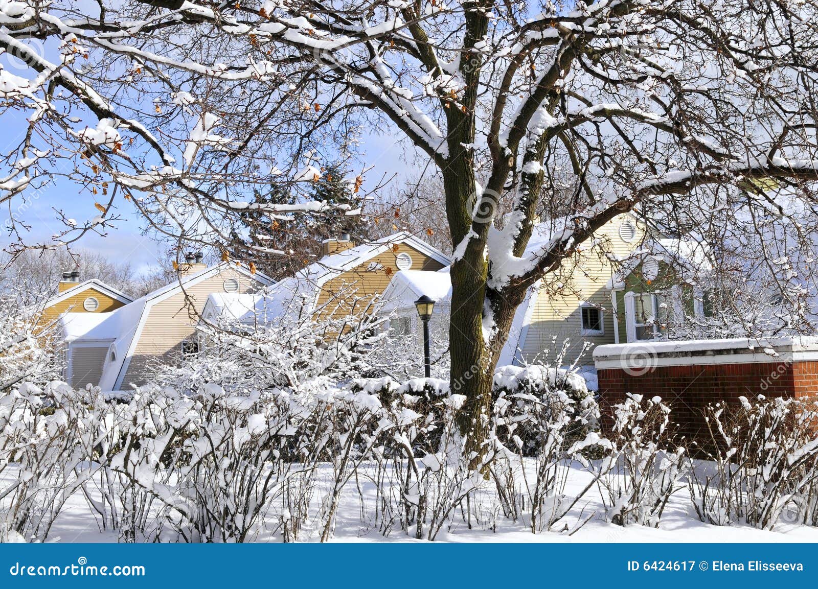 Winter street stock image. Image of neighborhood, houses - 6424617