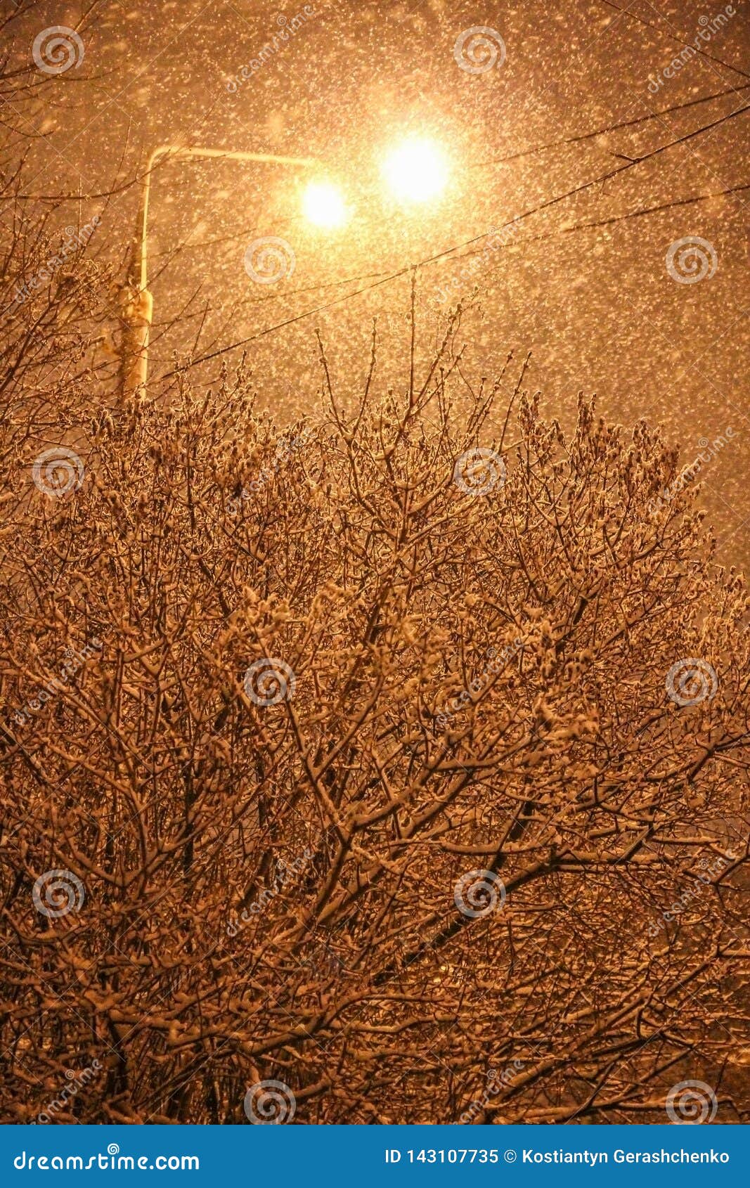 Winter Street Lamp at Night Stock Image - Image of nature, moonlight ...