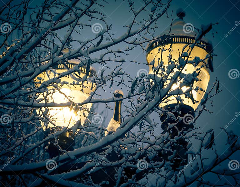 Winter street light stock photo. Image of design, color - 28337126