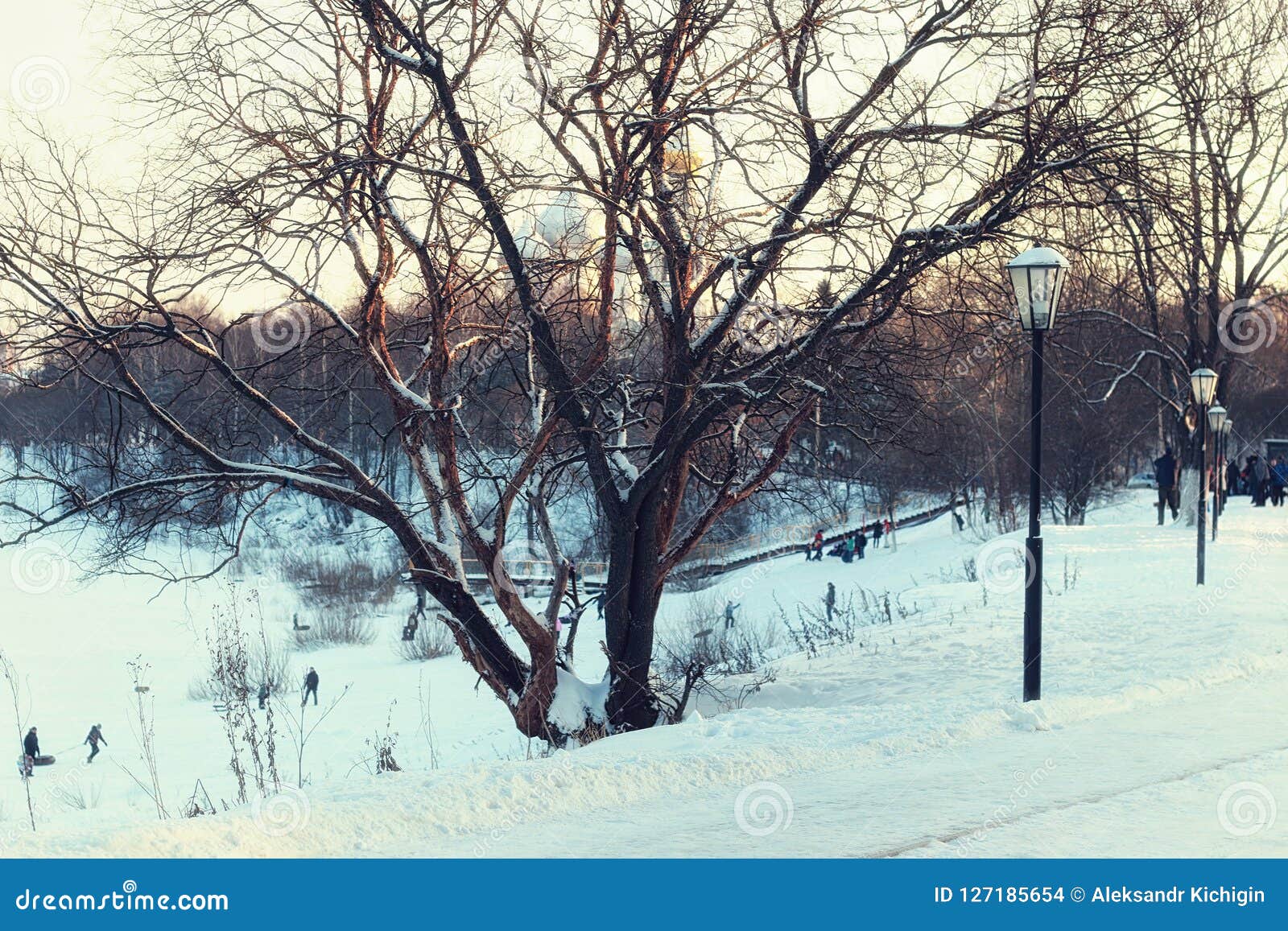 Winter street light tree stock photo. Image of cobbled - 127185654