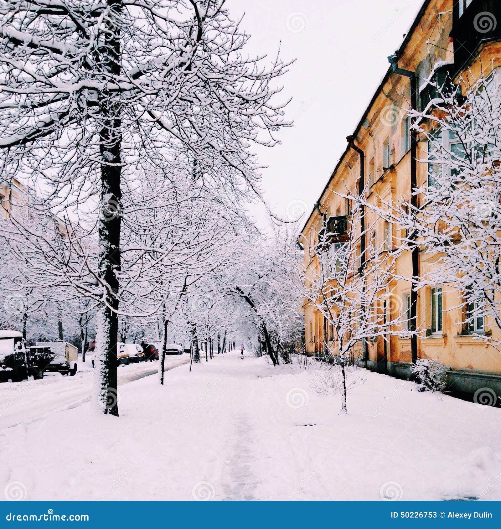 Winter street stock image. Image of beautiful, scenery - 50226753