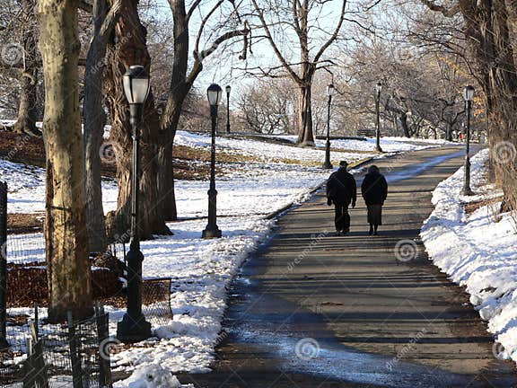 A winter stroll stock image. Image of pathway, york, park - 94505