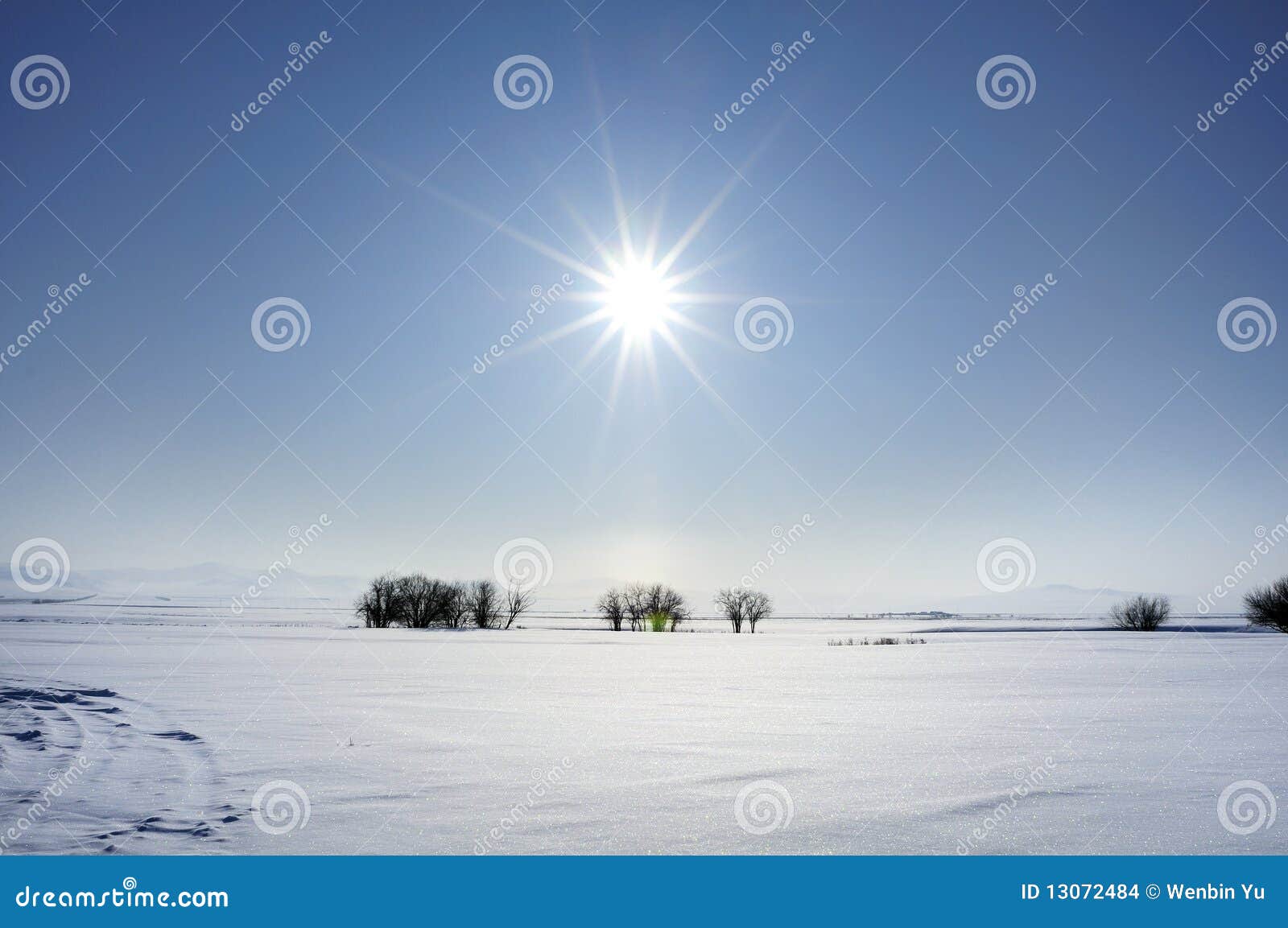 Winter sun stock photo. Image of outdoor, blue, fields - 13072484